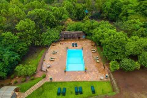 Safari de guépards de luxe en Tanzanie - World Adventure Tours