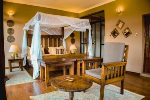 Safari de guépards de luxe en Tanzanie - World Adventure Tours