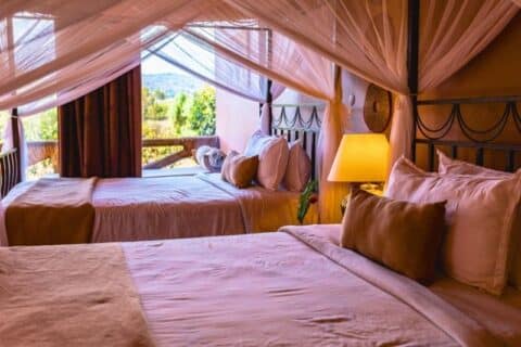 Safari de guépards de luxe en Tanzanie - World Adventure Tours