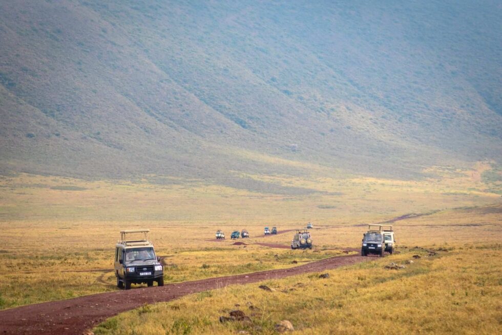 Tour di gruppo Safari sulla grande migrazione: dal Lago Manyara al ...