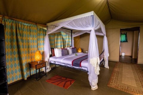 Simba Adventure Safari in Tanzania - World Adventure Tours