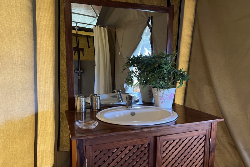 Simba Adventure Safari in Tanzania - World Adventure Tours